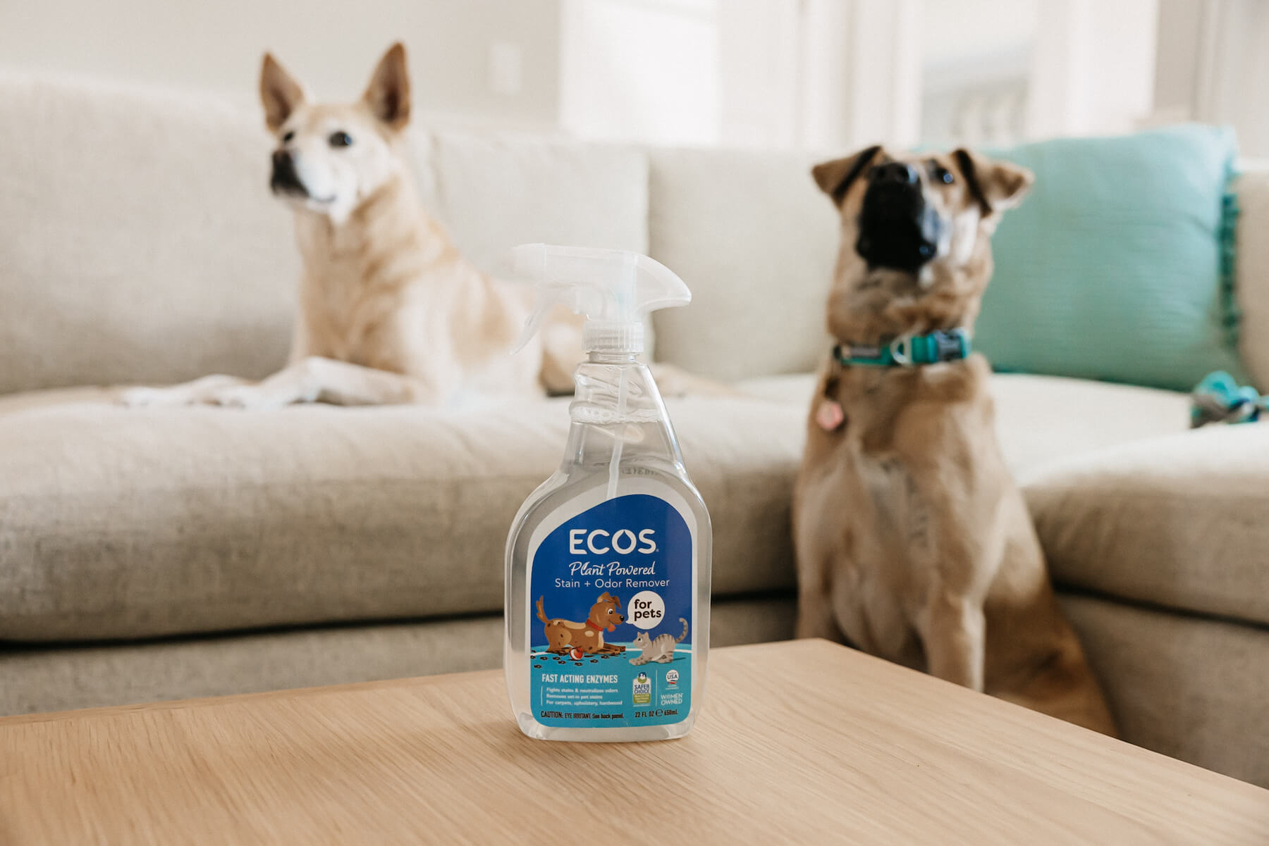 Frequently Asked Questions & Answers About ECOS® Cleaning Products